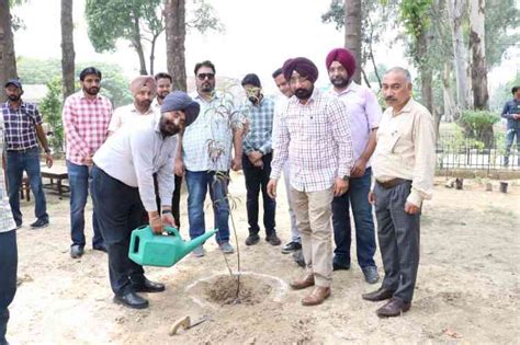 PSPCL S HRD Wing Conducts Successful Tree Plantation Drive