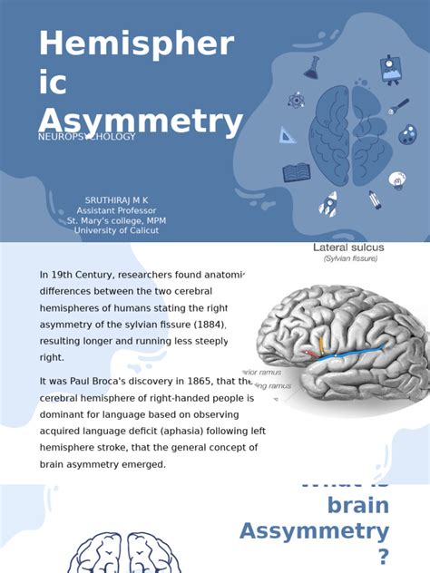 Hemispheric Asymmetry Neuropsychology Pdf Lateralization Of Brain Function Cognition
