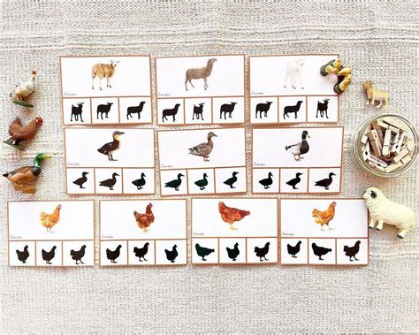 13 Activités Ludiques Pour Développer La Discrimination Visuelle Momes