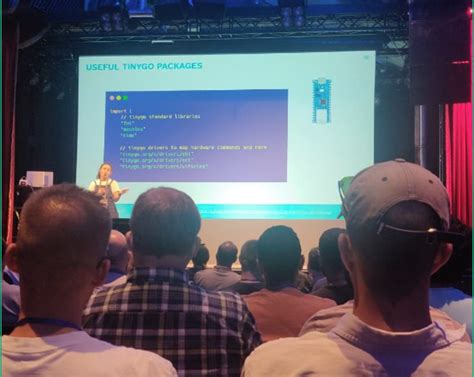 Go Ing For It A Summary Of What We Saw At Gophercon By Giulio