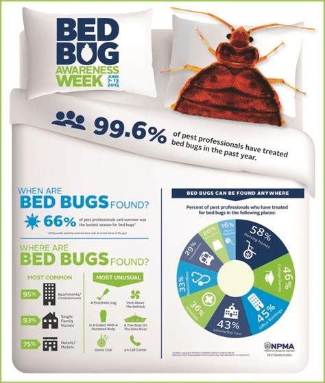 Bed Bug Info In One Convenient Infographic Franklin Pest Solutions