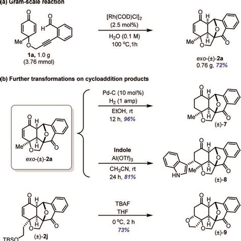 Gram Scale Reaction And Subsequent Transformations On Cycloaddition
