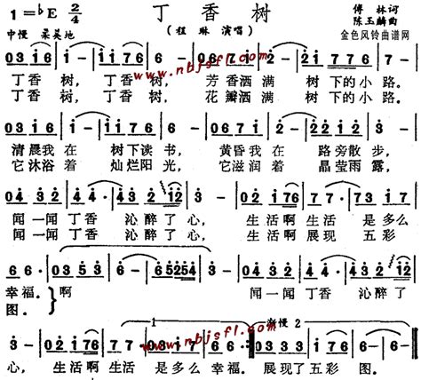 程琳 丁香树简谱 程琳 简谱大全