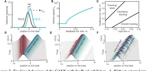 Figure 2 From Oscillatory Tracking Of Continuous Attractor Neural