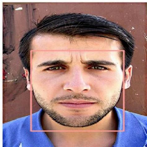 Visualdetectionreformed Object Detection Dataset By Ce7454