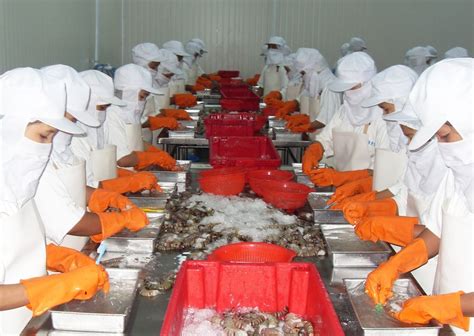 ၂၀၂၂ ၂၀၂၃ ဘဏ္ဍာနှစ် ၁၁ လတာကာလအတွင်း ပြည်ပသို့ ပုစွန်မက်ထရစ်တန်ချိန် ၁၄၀၀၀ ကျော်တင်ပို့ထား