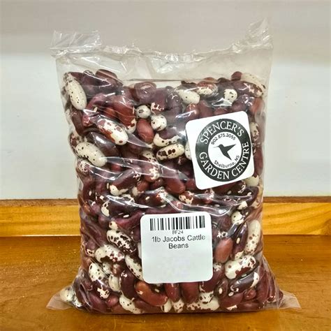 1lb Jacobs Cattle Beans Spencers Garden Centre