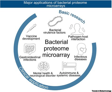 Bacterial Proteome Microarray Technology In Biomedical Research Trends