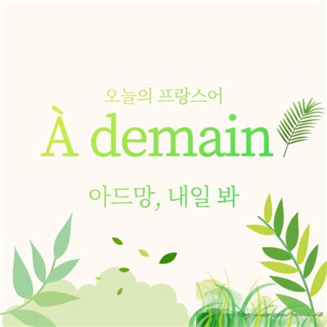 아프리카에서 쓰는 유럽 언어들은 무엇이 있을까 아랍어 포텐 터짐 최신순 에펨코리아