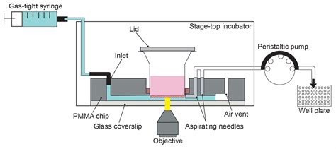 Single Cell Systems Bio Engineering Laboratory ETH Zurich