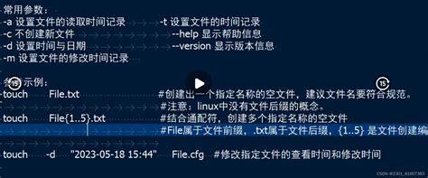 Linux目录文件命令linux用户家目录设置文件夹 Csdn博客