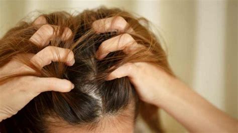 Sebum Buildup On Scalp Function Imbalance Maintenance