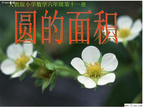 《圆的面积》ppt课件 Word文档在线阅读与下载 无忧文档