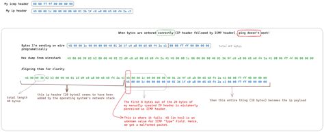 Network Programming Writing Raw Ip Packet In Go Using Connwrite Stack Overflow