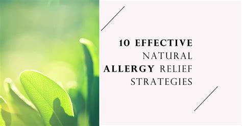 10 Effective Natural Allergy Relief Strategies You Need To Try Today
