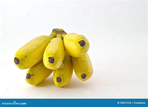 Mini Bananer Arkivfoto Bild Av Litet Banan Frukt 28851238