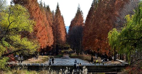 가을에서 겨울로