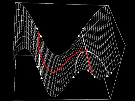 Ppt Eeg Coordination Dynamics Neuromarkers Of Social Coordination E Tognoli Powerpoint