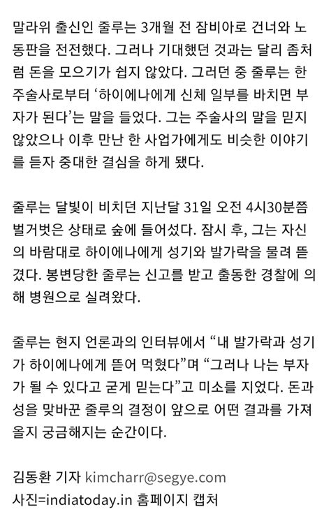 하이에나에게 성기 바친 남자  포텐 터짐 최신순 에펨코리아