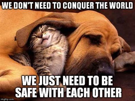 25 Cutest Cuddle Memes