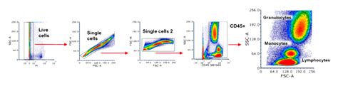 Immunophenotyping By Flow Cytometry Bio Rad