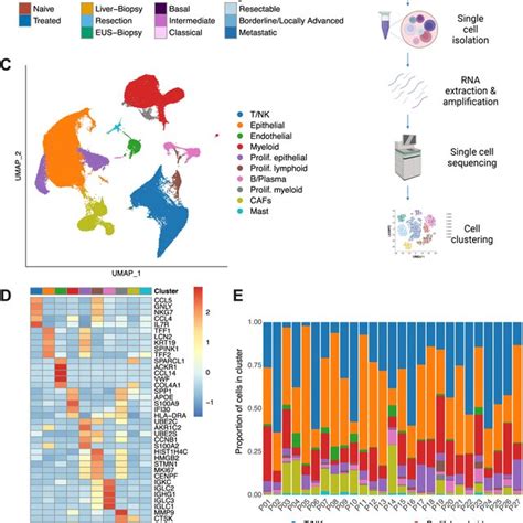 Single Cell Analysis Reveals The Transcriptomic Landscape In Pdac A