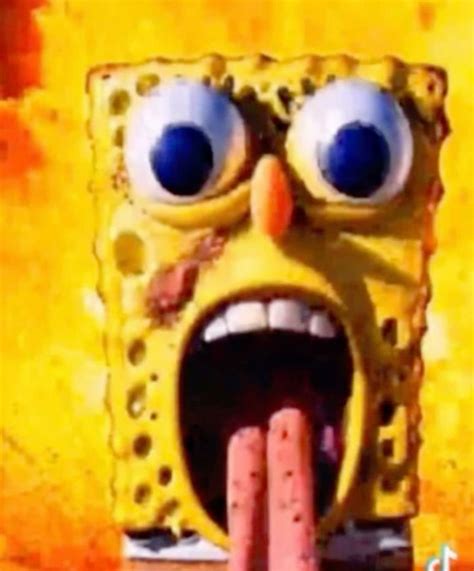 Spongebob Scream Meme Artofit
