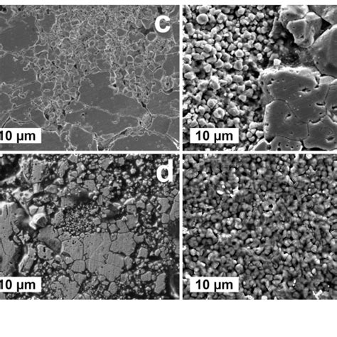 A Sintering Temperature T Onset And B Relative Density Of
