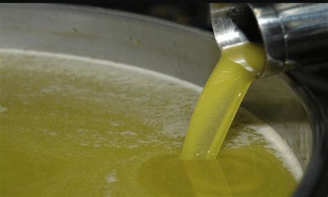 تراجع حاد في إنتاج زيت الزيتون التونسي قناة 218