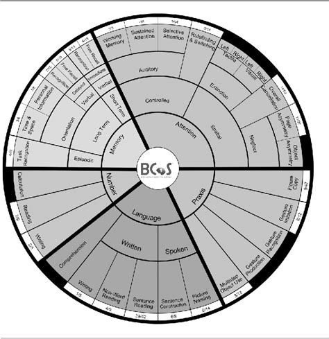 Figure 1 From Using A Comprehensive And Standardised Cognitive Screen