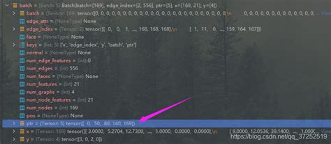 Pytorch Geometric的mini Batchespytorch Geometric Batch Csdn博客