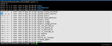 容器虚拟化基础之cgroupslxclxc容器资源分配 Csdn博客
