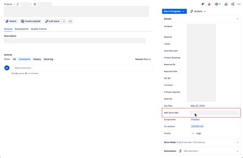 Custom Field Behave Differently Between Issue Screen And Workflow