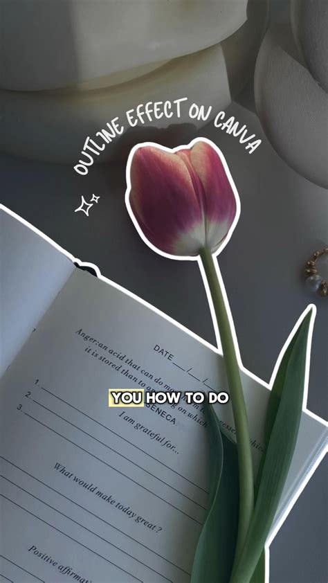 Make Your Image Pop With This Canva Effect 🤍 In 2025 Instagram Design