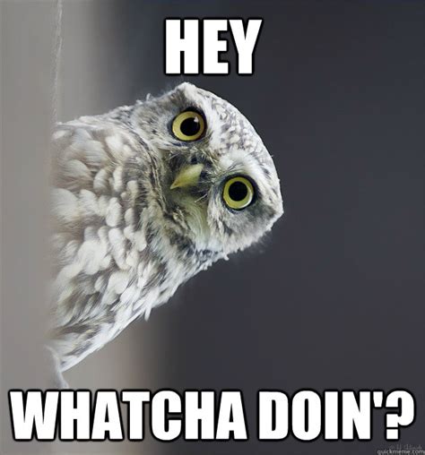 Hey Whatcha Doin Memes Quickmeme