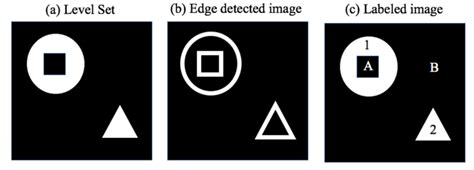 Types Of Images Used In The Computation Of Minkowski Functionals A