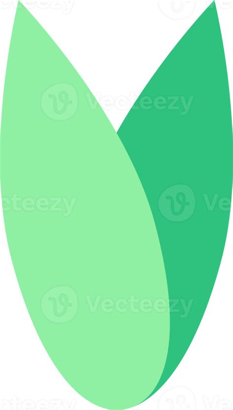 Plant Tree In Pot Houseplant Icon PNG Plant Tree In Pot Houseplant Icon PNG