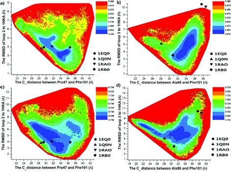 two dimensional free energy for loops 2 and 3 in the md simulations
