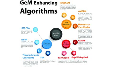 Algorithms Used To Improve The Network And Efficiency Of Genome Scale