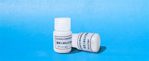 重组人源化iii型胶原蛋白 （recombinant Humanized Iii Collagen）