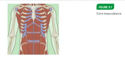 NASM CPT Chapter Flashcards Quizlet