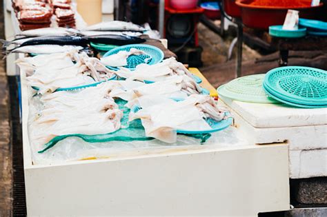 신선한 해산물 오징어와 제주도 대한민국 서귀포 매일 올레 시장에서 생선 거리에 대한 스톡 사진 및 기타 이미지 거리 건강한 생활방식 건강한 식생활 Istock