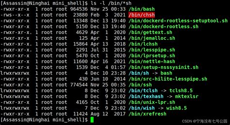【linux系统编程】剖析shell运行原理命令解释器myshell实验原理 Csdn博客