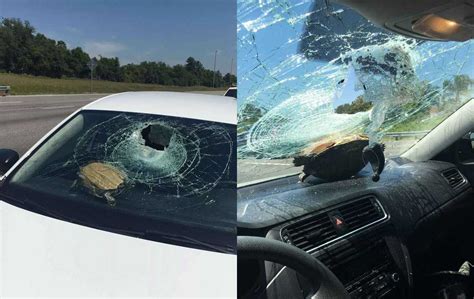29 Bad Day Moments That Fell Apart Faster Than Expected Barnorama