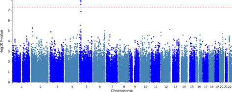 Manhattan Plot Of The Primary Gwas Of Mc 1000 Genomes Geuvadis