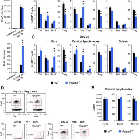 A Oxazolone Model Of Atopic Dermatitis Sensitization And 10 Download Scientific Diagram