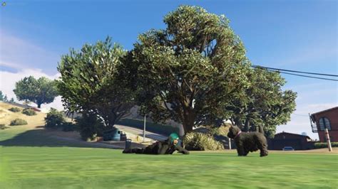 Build You A Qbcore Fivem Server And Offer Maintenance By Hollowdevteam