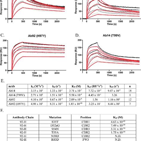 Iso Affinity Plot Of Shm Variants Tested For Four Selected Antibodies