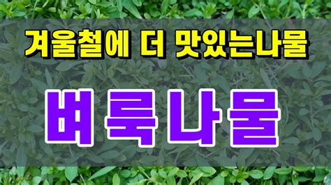 추운 겨울이 기다려지는 나물 벼룩나물 Youtube