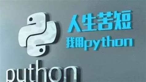 Python语言的七大优点 你了解吗 哔哩哔哩